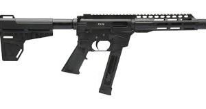 TYPE 81 SR | Canada Firearms Power