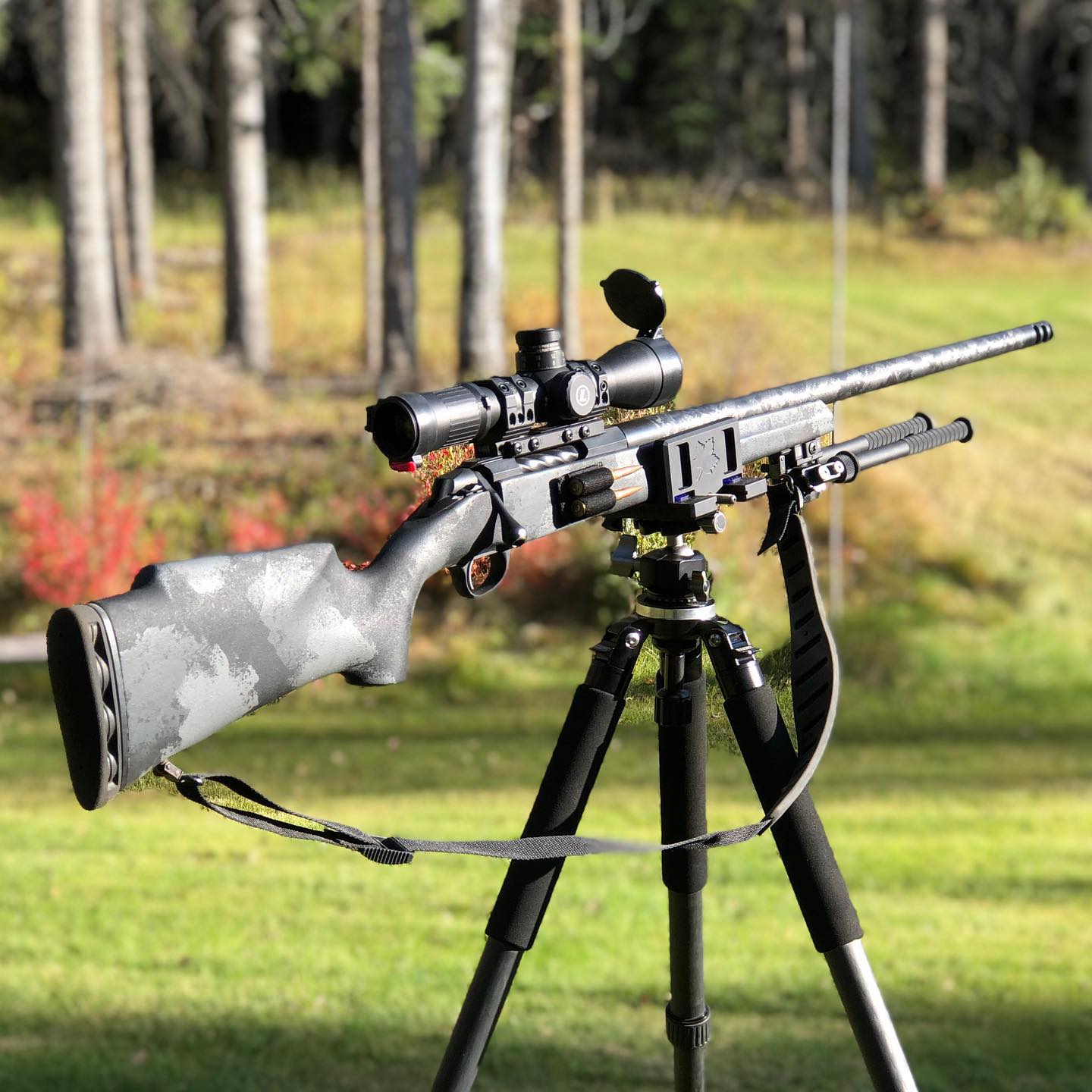 Legal Hunting Rifles Canada | Canada Firearms Power